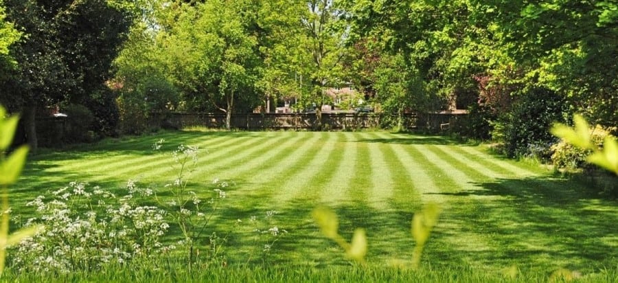 How To Measure Your Garden Size | Greenstripe Innovations
